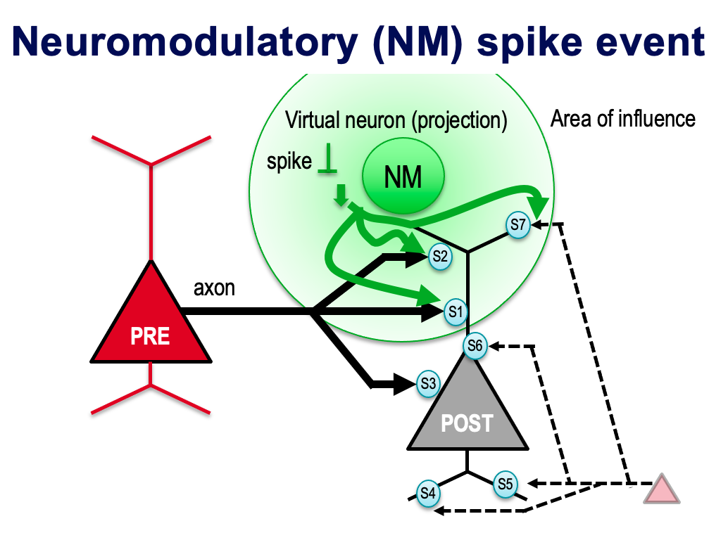 Neuromodulation - Neurodamus 4.2.1 documentation